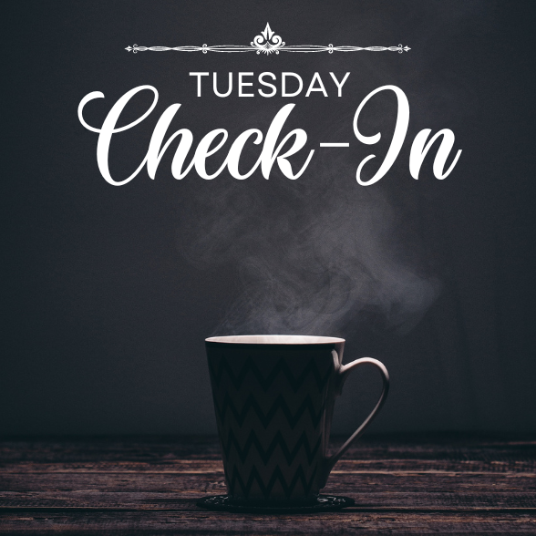 Tuesday Check-In Dec 6 2022 – Knit and Bolt